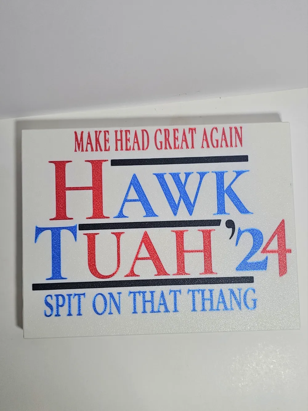 Hawk Tuah '24 Wall art by rogue3d - MakerWorld