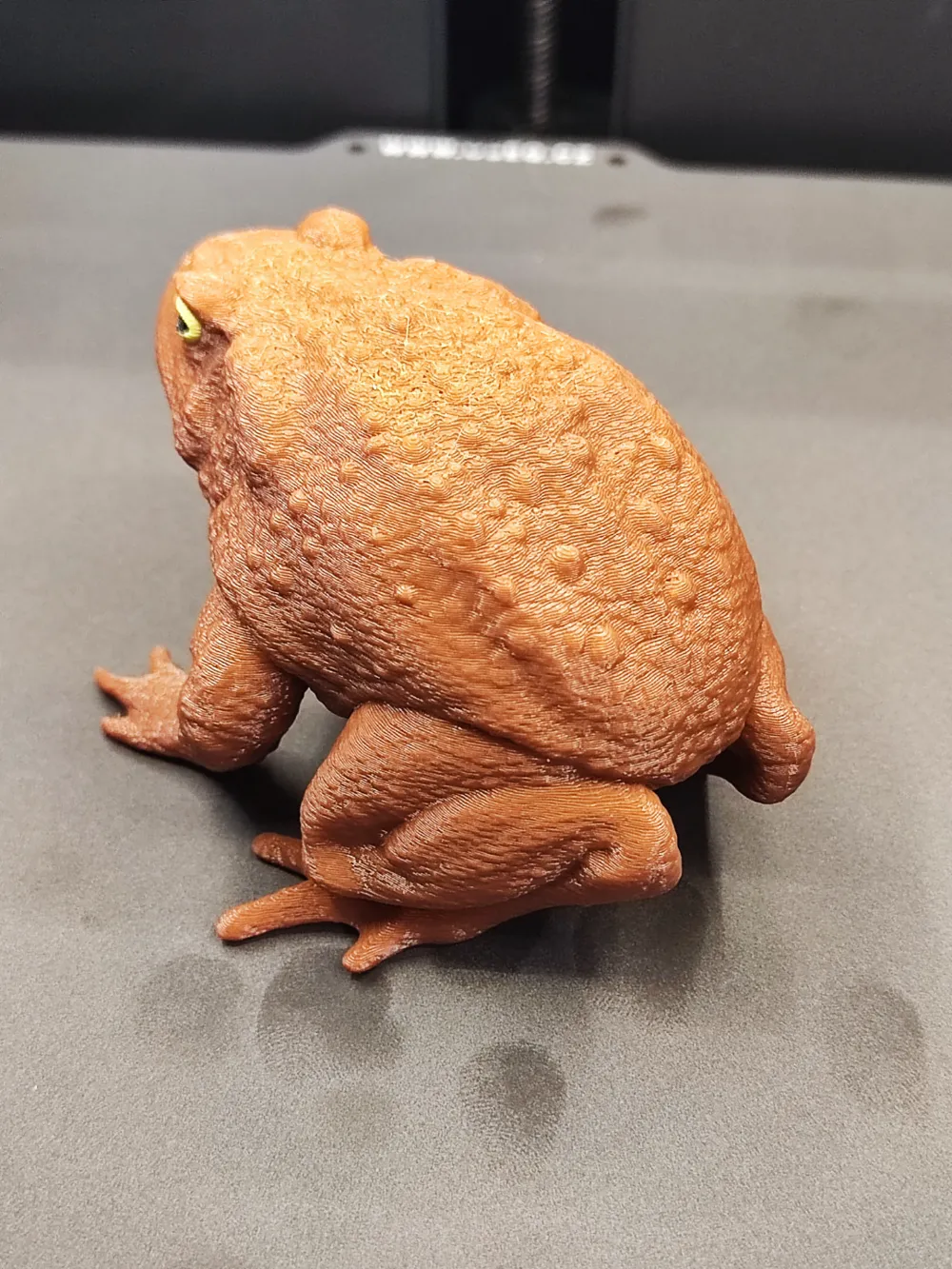 Ugly toad by Creatività in 3D - MakerWorld