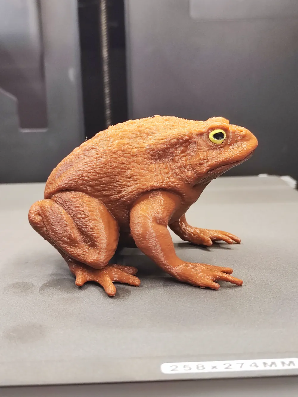 Ugly toad by Creatività in 3D - MakerWorld