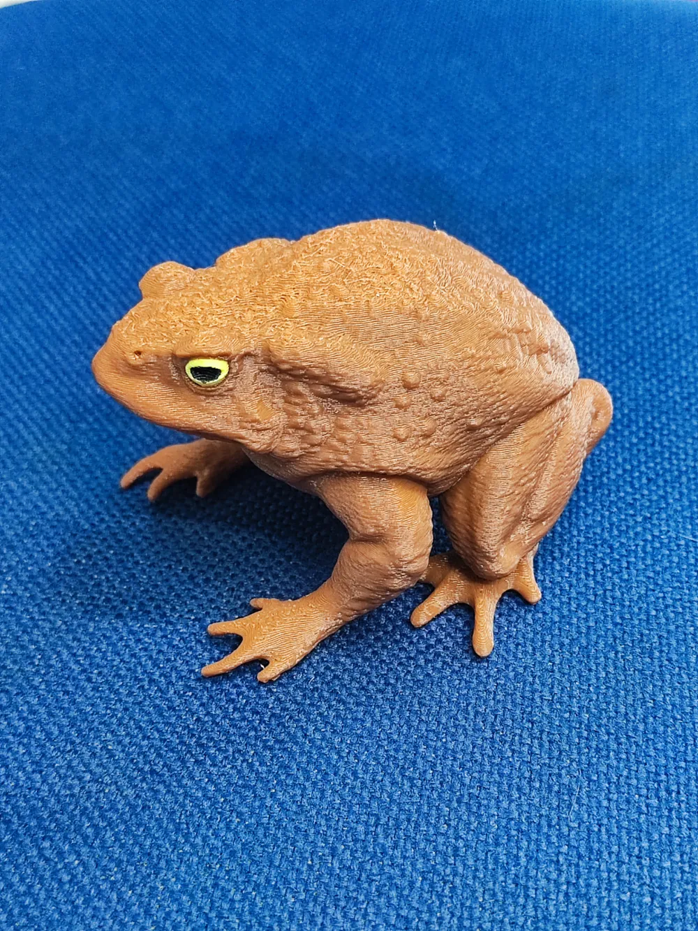 Ugly toad by Creatività in 3D - MakerWorld