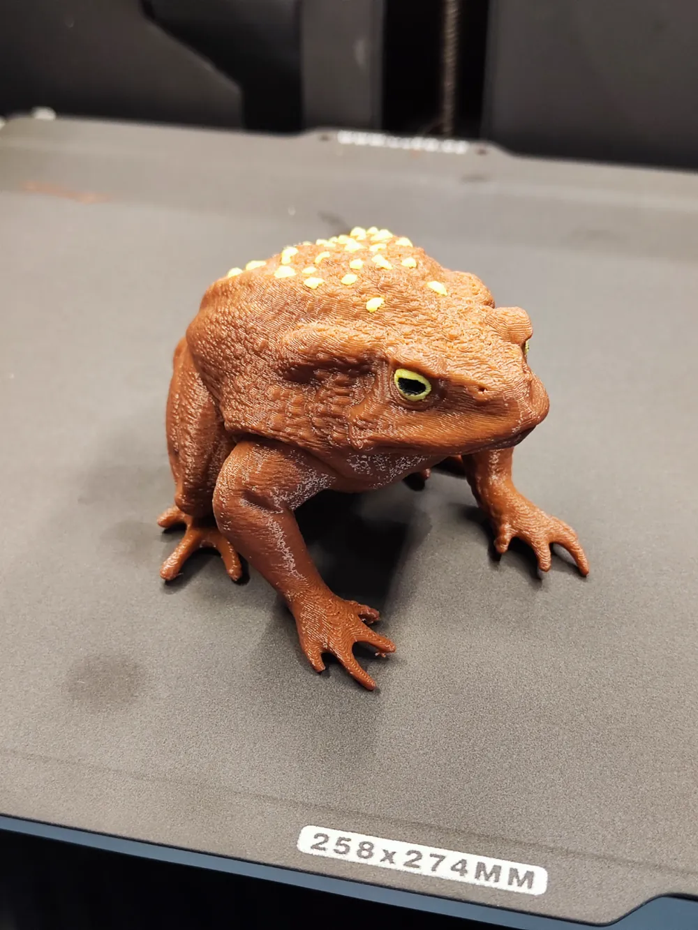 Ugly toad by Creatività in 3D - MakerWorld