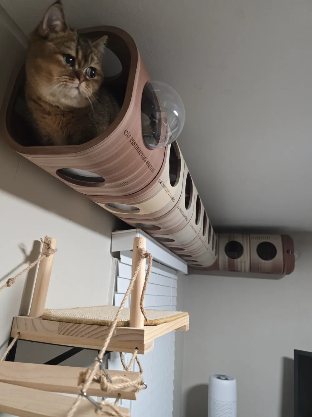 CAT DISTRIBUTION SYSTEM - Free 3D Print Model - MakerWorld