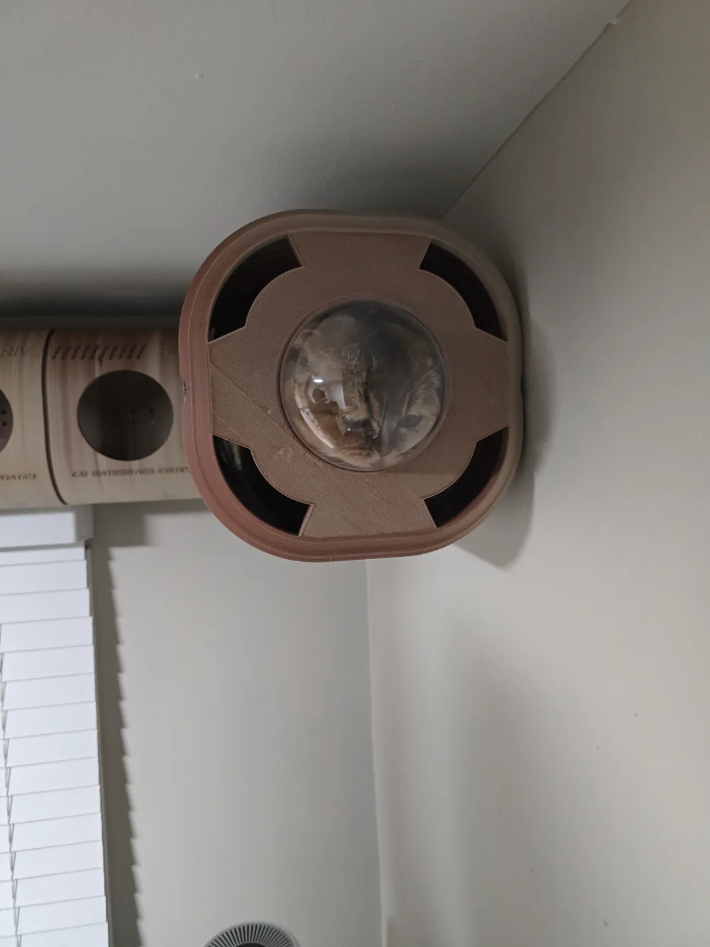 CAT DISTRIBUTION SYSTEM - Free 3D Print Model - MakerWorld