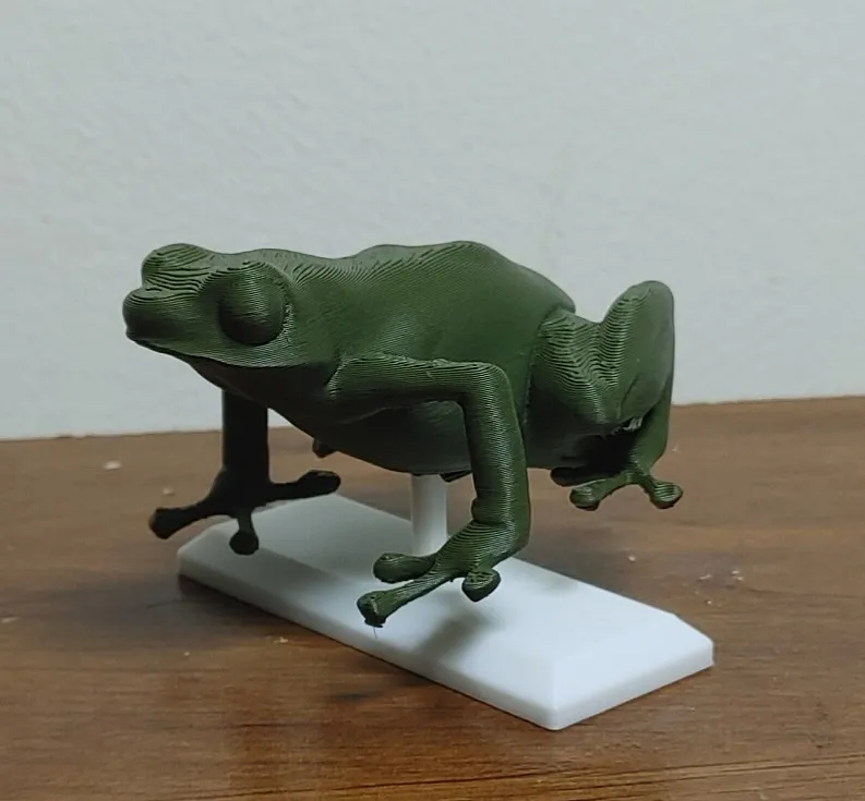 Frog Mount by Fish Prints MakerWorld: Download Free 3D Models