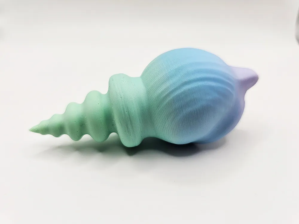SeaShell - Free 3D Print Model - MakerWorld