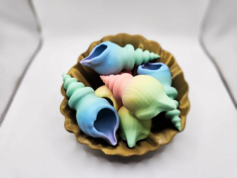 SeaShell by DoodledDigital MakerWorld: Download Free 3D Models