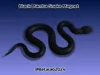 Black Mamba Snake Magnet by Betalab2024 - MakerWorld
