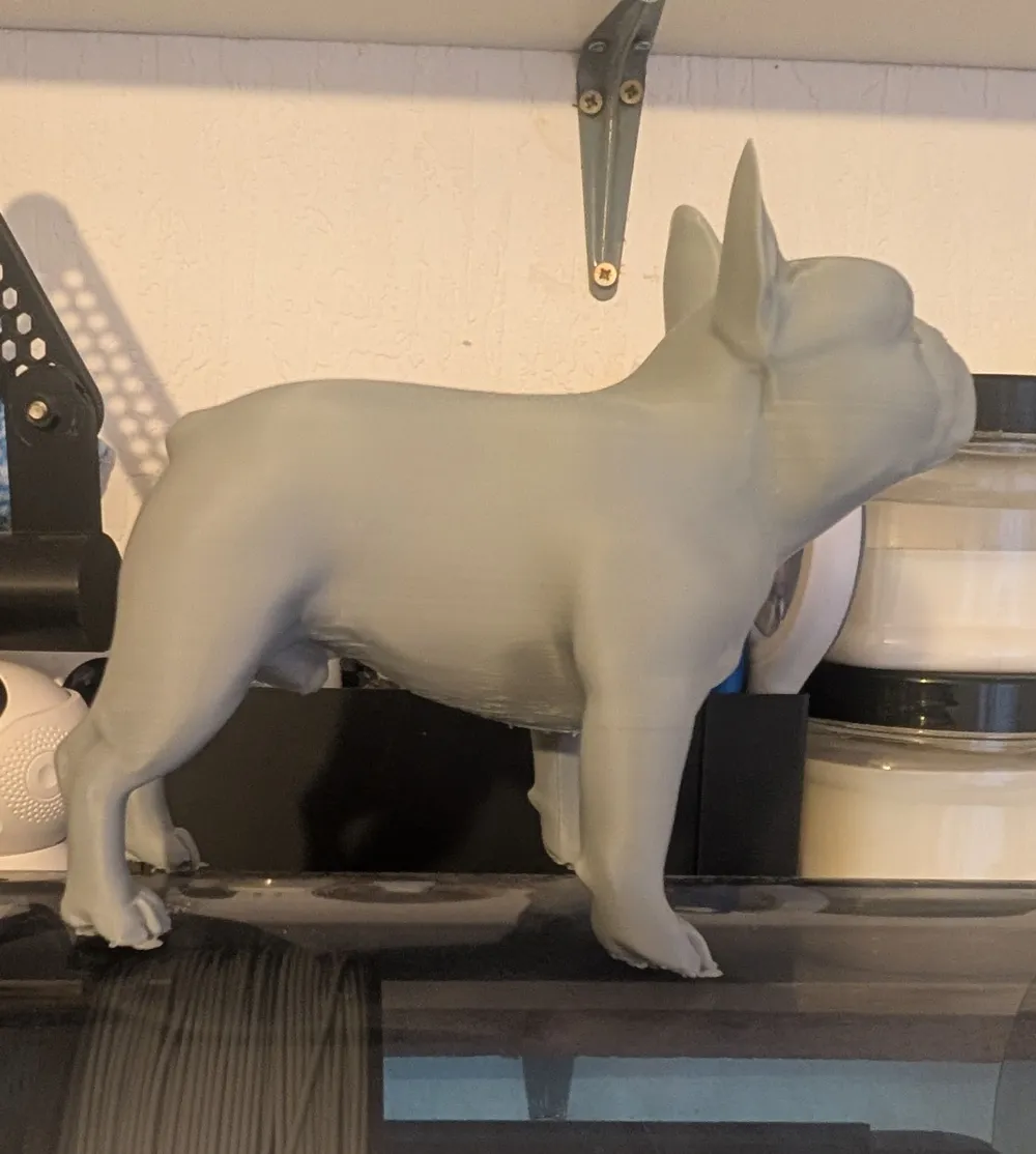 lifesize frenchie by madmarkdavies MakerWorld: Download Free 3D Models