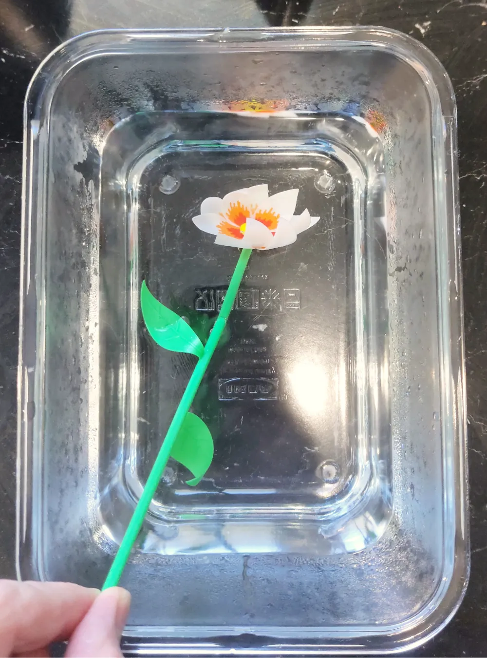 Flower by Accidental Engineer MakerWorld: Download Free 3D Models