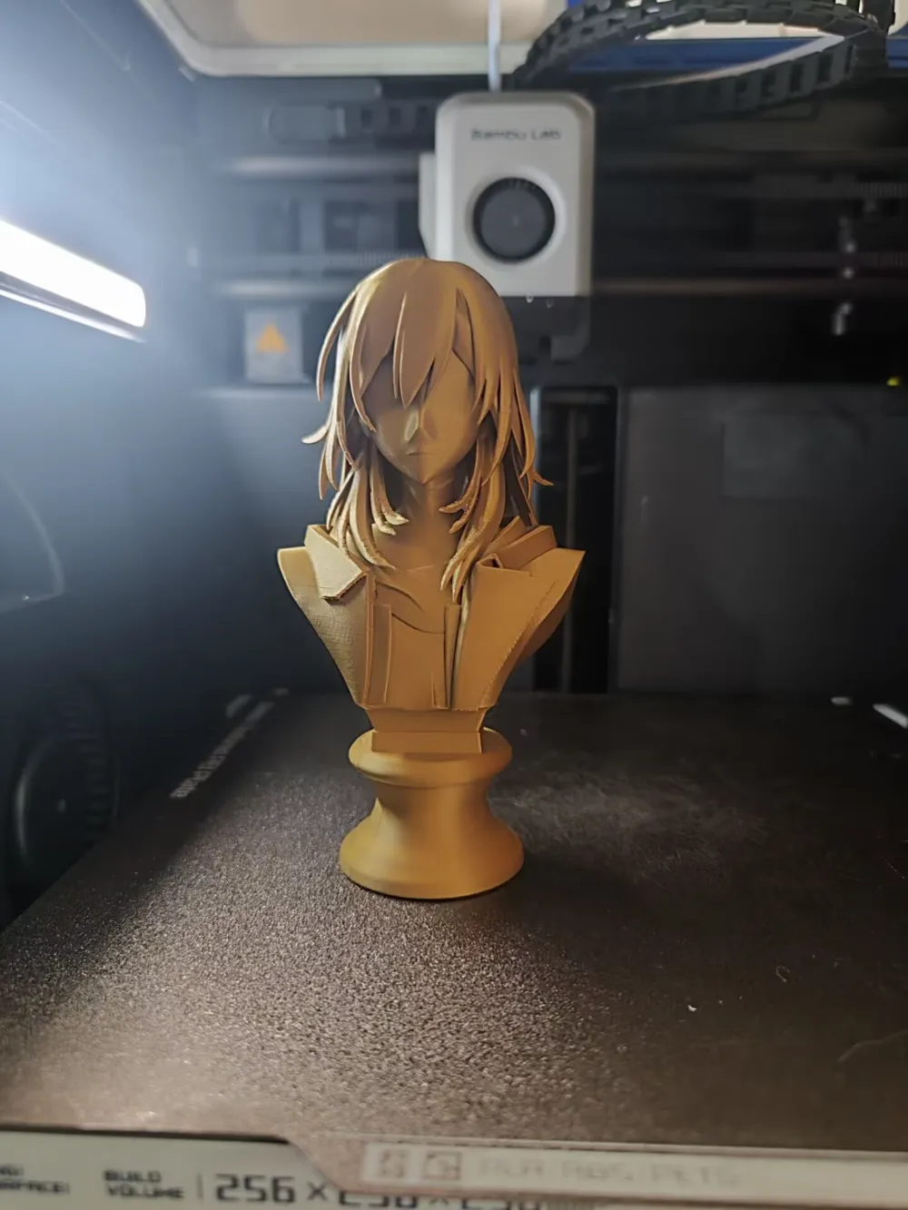 Star Rail Star (Old Man)'s Bust by 箱庭猫猫 MakerWorld: Download Free 3D Models