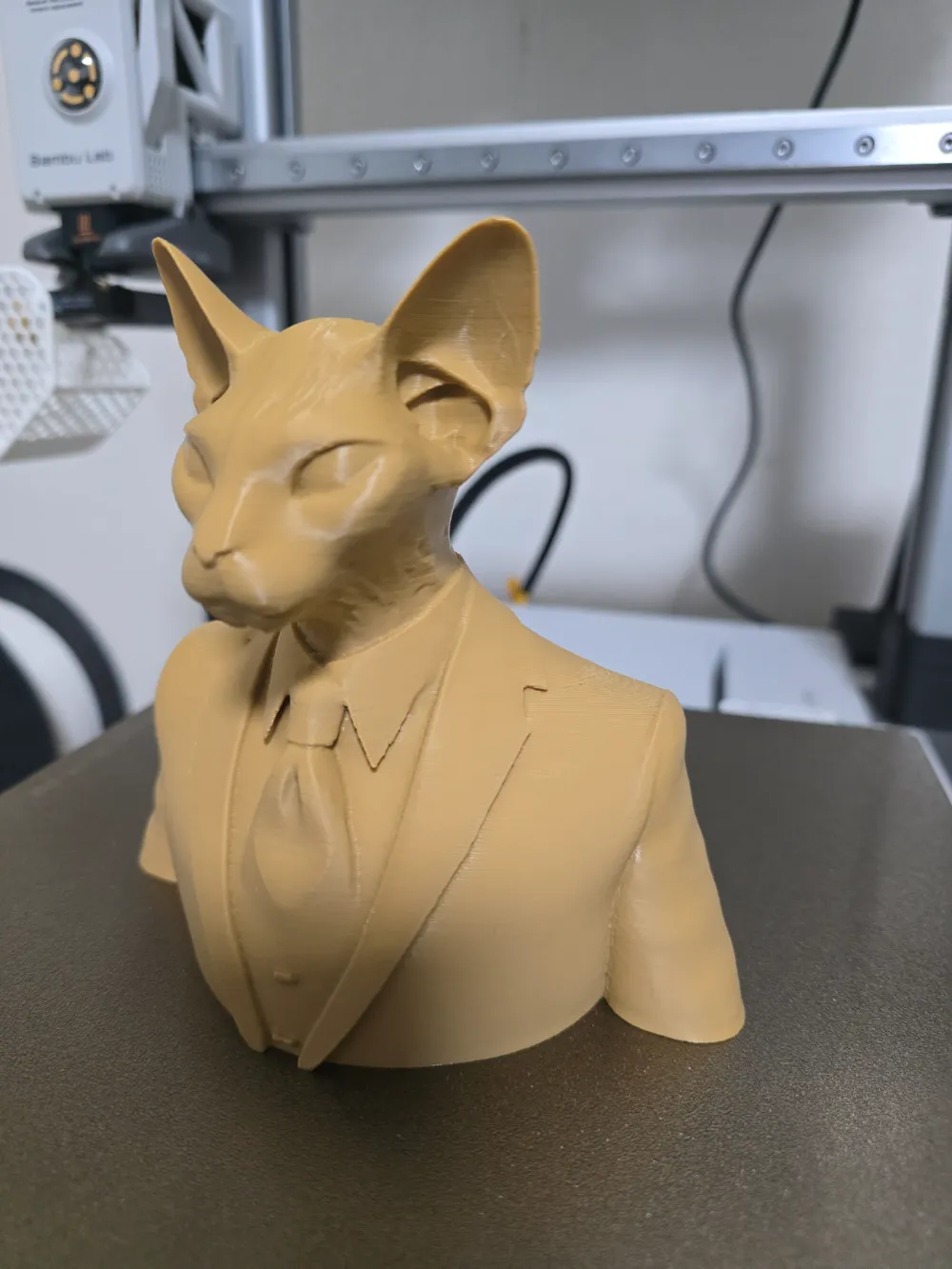 sphynx with suit by Regis - MakerWorld