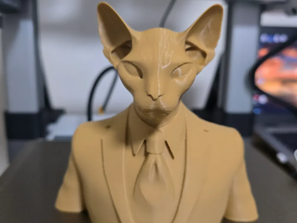sphynx with suit by Regis - MakerWorld
