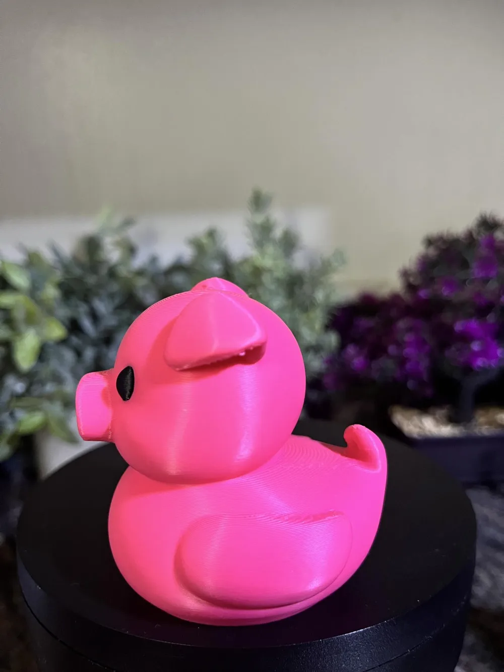 PIG RUBBER DUCK - Free 3D Print Model - MakerWorld