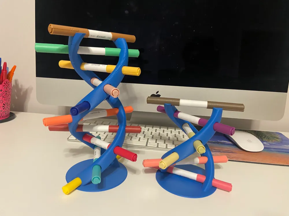 DNA Pen / Paintbrush Holder by Clucky - MakerWorld