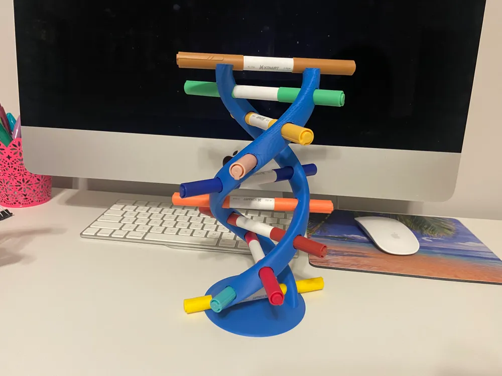DNA Pen / Paintbrush Holder by Clucky - MakerWorld