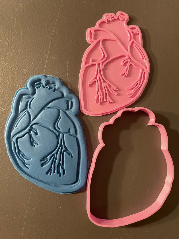 4" Anatomically Correct Heart Cookie Cutter STL File - Printable Baking ...