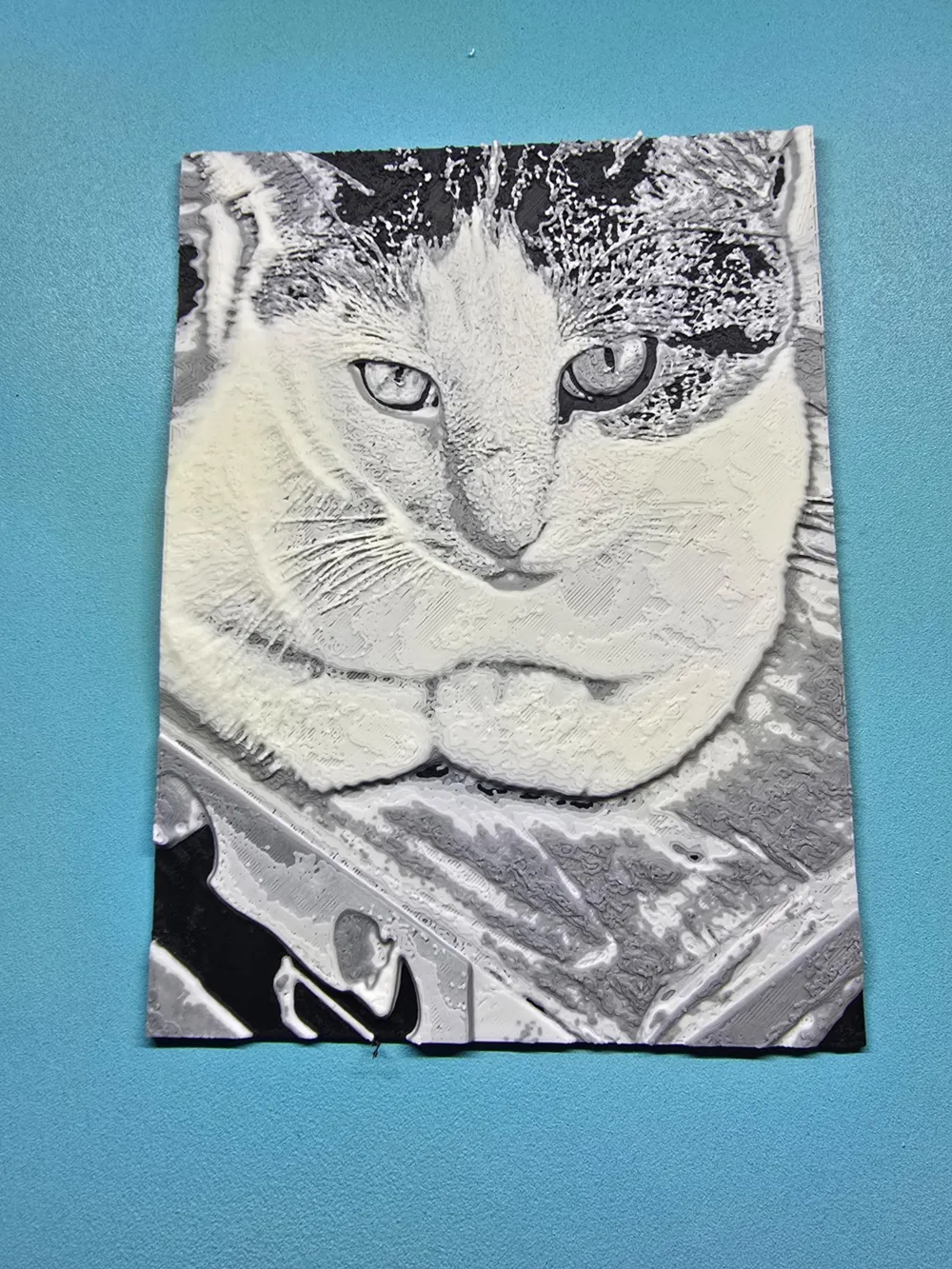 My Cat Conner by Copeland Family Plastics MakerWorld: Download Free 3D ...