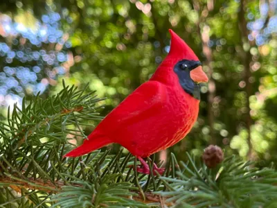 cardinal 3d print model download - MakerWorld