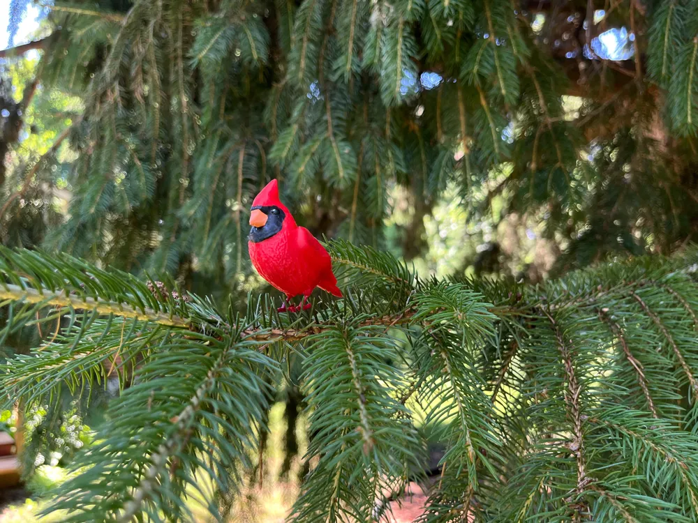 Cardinal | Highly Realistic Northern Cardinal Bird - Free 3D Print ...