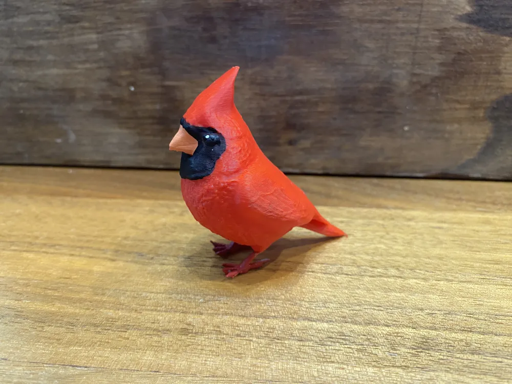 Cardinal | Highly Realistic Northern Cardinal Bird - Free 3D Print ...