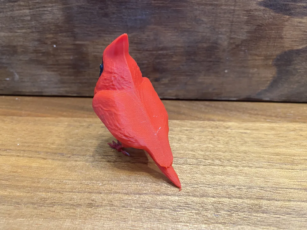 Cardinal | Highly Realistic Northern Cardinal Bird - Free 3D Print ...