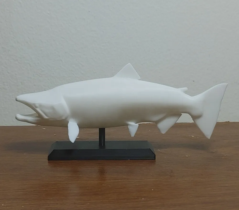 King Salmon Fish Mount 2 by Fish Prints MakerWorld: Download Free 3D Models