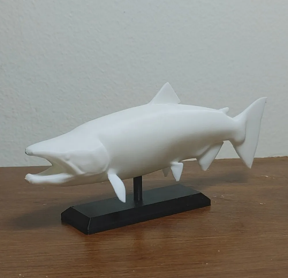 King Salmon Fish Mount 2 by Fish Prints MakerWorld: Download Free 3D Models