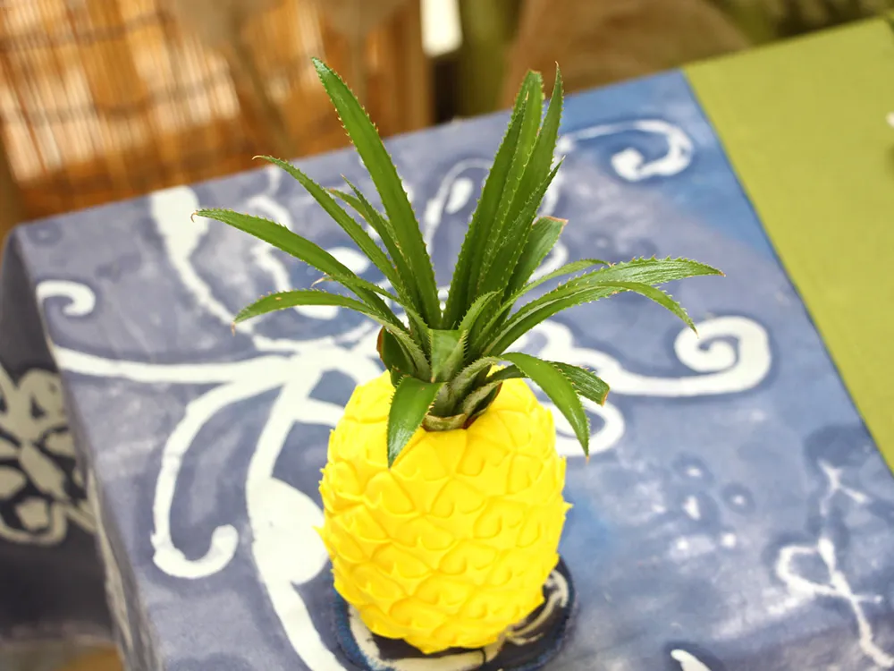 Hydroponischer Ananaskopf – Kostenloses 3D-Druckmodell – MakerWorld