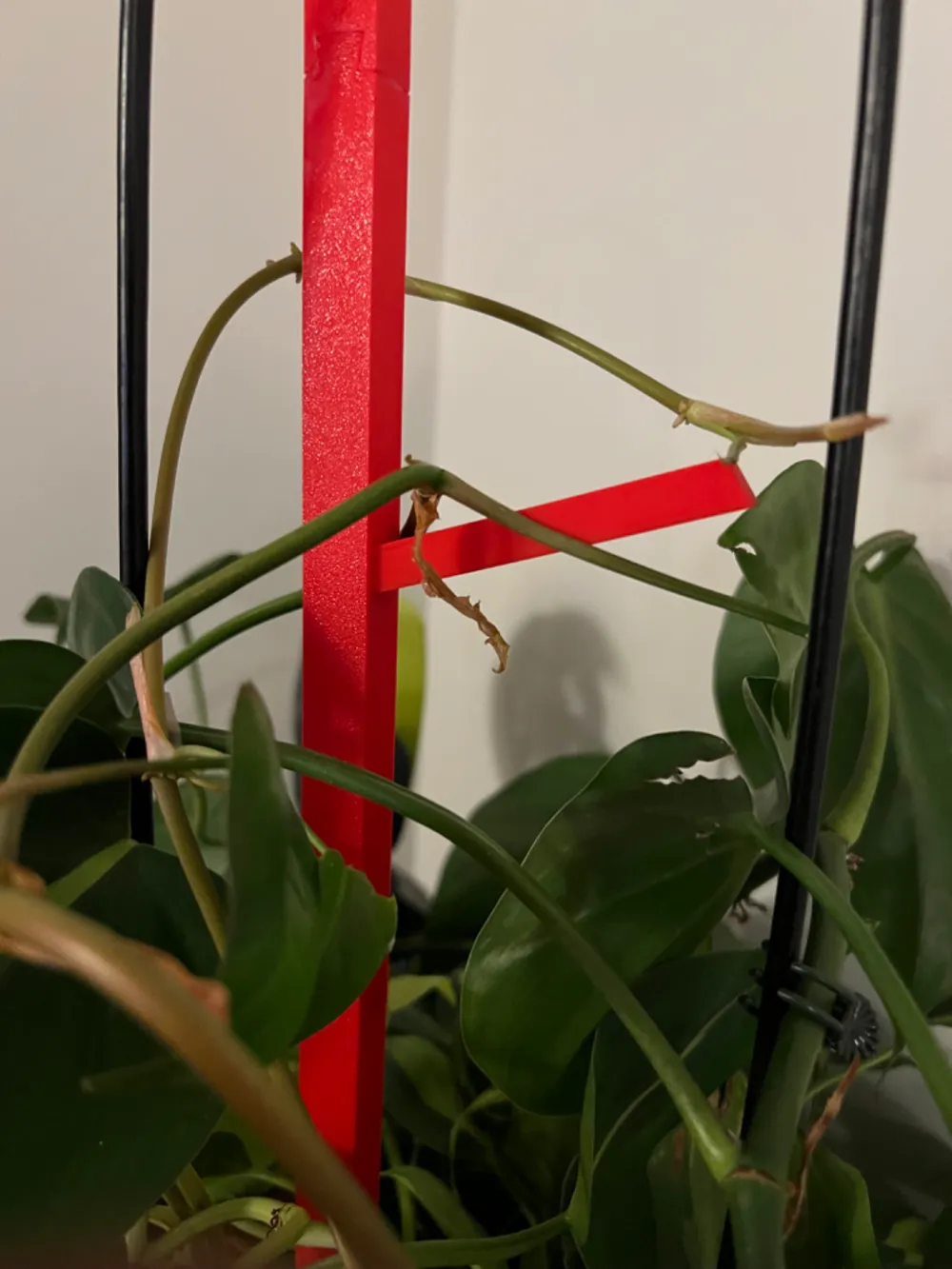 plant support - Free 3D Print Model - MakerWorld