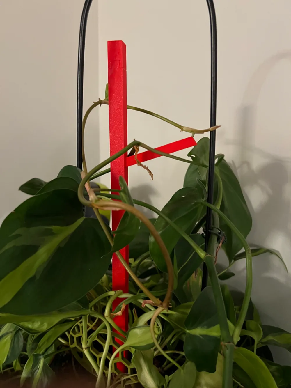 plant support - Free 3D Print Model - MakerWorld