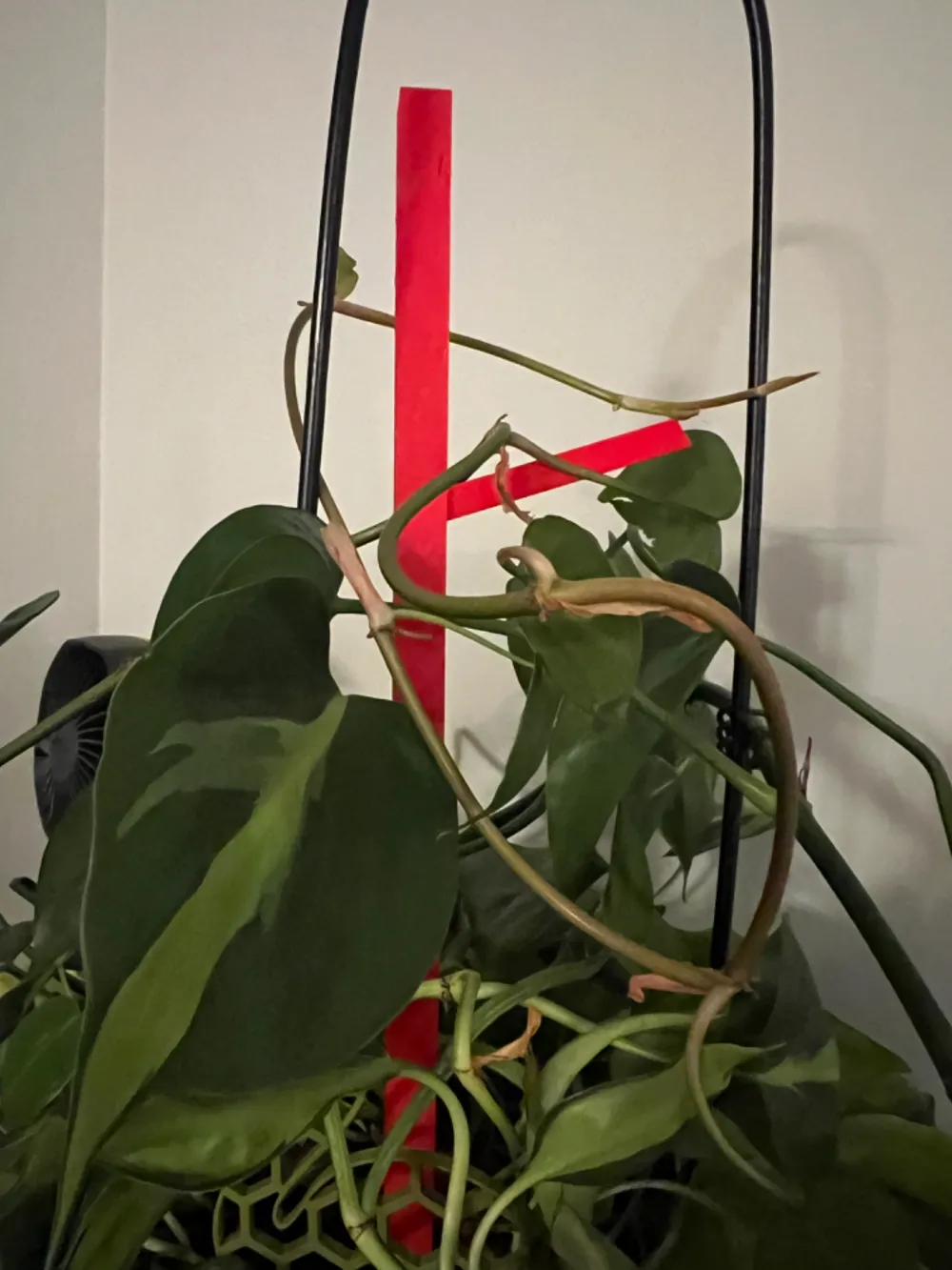 plant support - Free 3D Print Model - MakerWorld