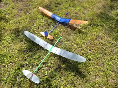 Free-flight glider "Albatross" by Arty_SC MakerWorld: Download Free 3D Models