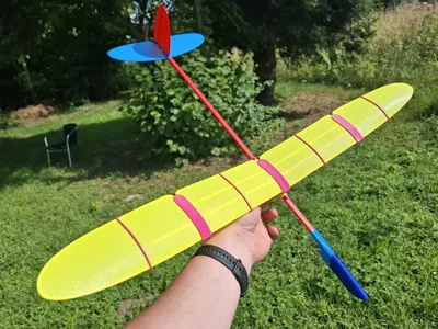 Free-flight glider "Albatross" by Arty_SC MakerWorld: Download Free 3D Models