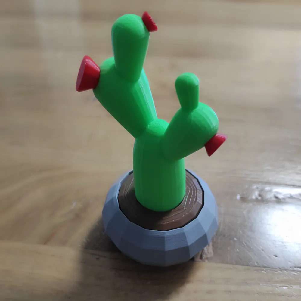 Cactus2 by hoytdefiant - MakerWorld