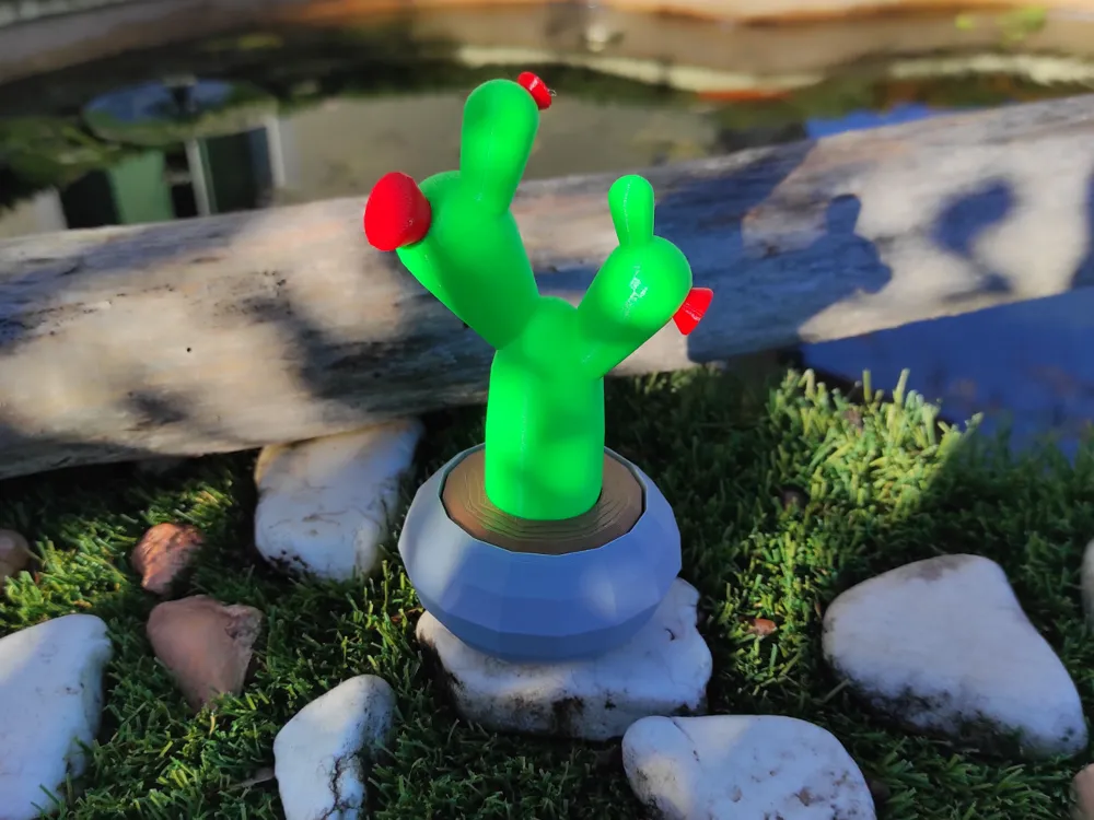 Cactus2 by hoytdefiant - MakerWorld