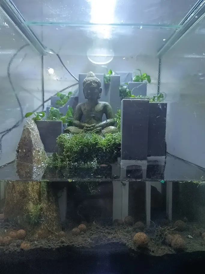 Paludarium cascade - Modèle d'Impression 3D Gratuit - MakerWorld