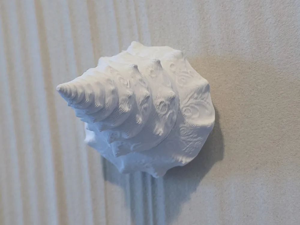 Ocean Whisper Conch Wall Art - Free 3D Print Model - MakerWorld