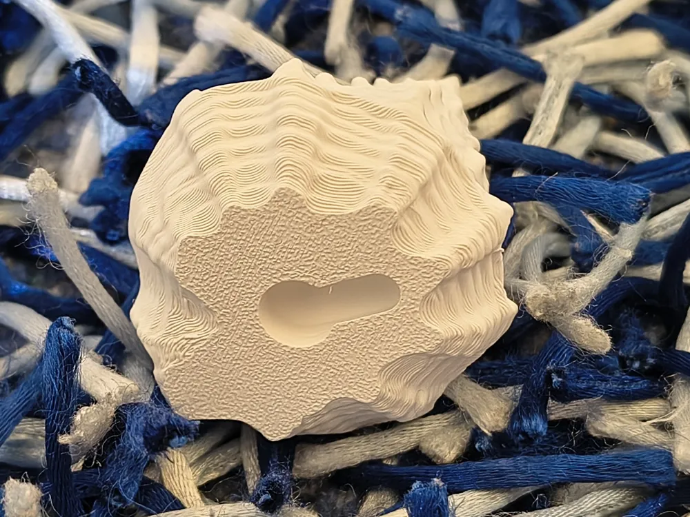 Ocean Whisper Conch Wall Art - Free 3D Print Model - MakerWorld