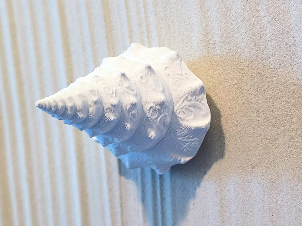 Ocean Whisper Conch Wall Art - Free 3D Print Model - MakerWorld