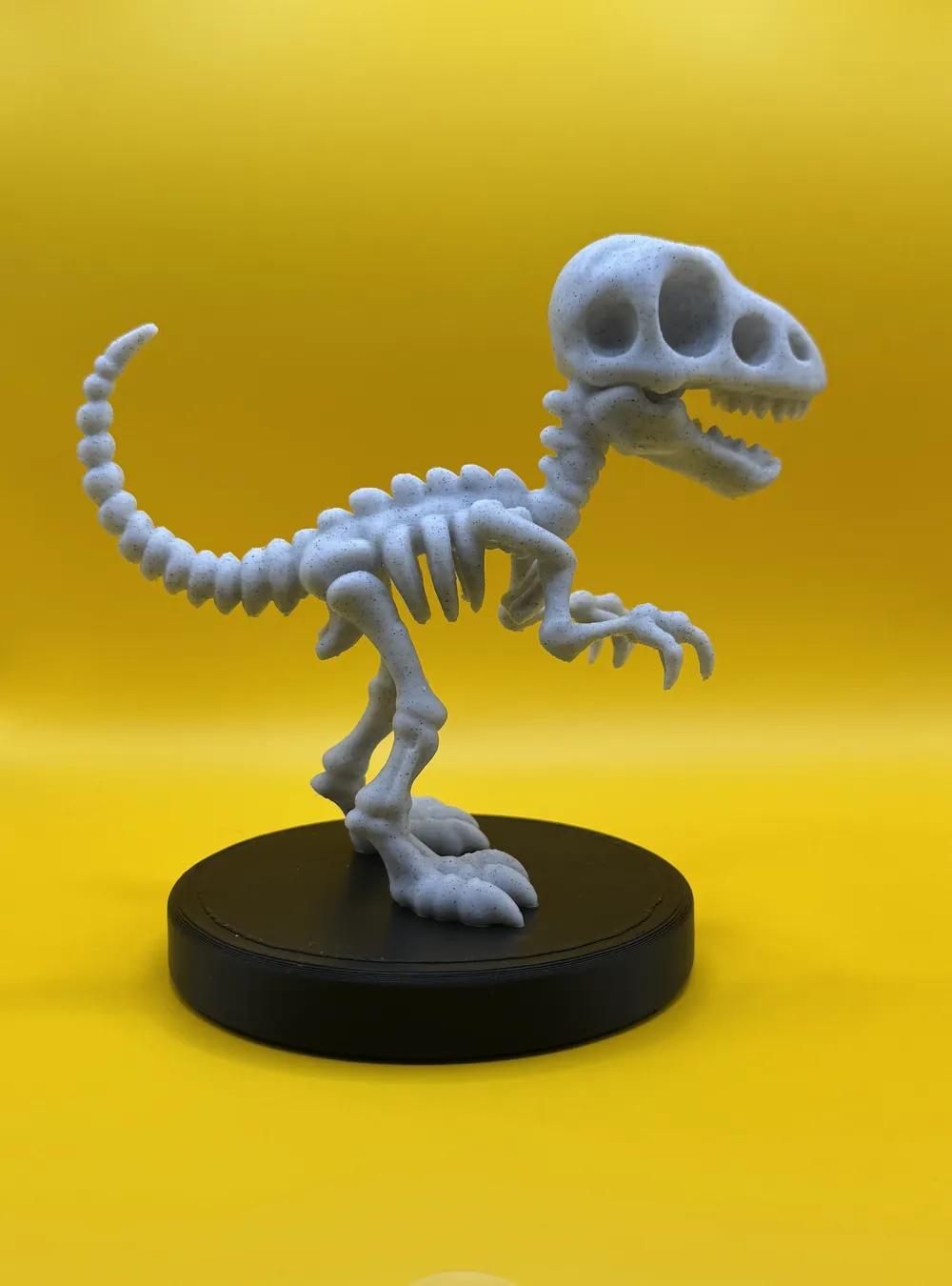 Raptor Skeleton - Free 3D Print Model - MakerWorld