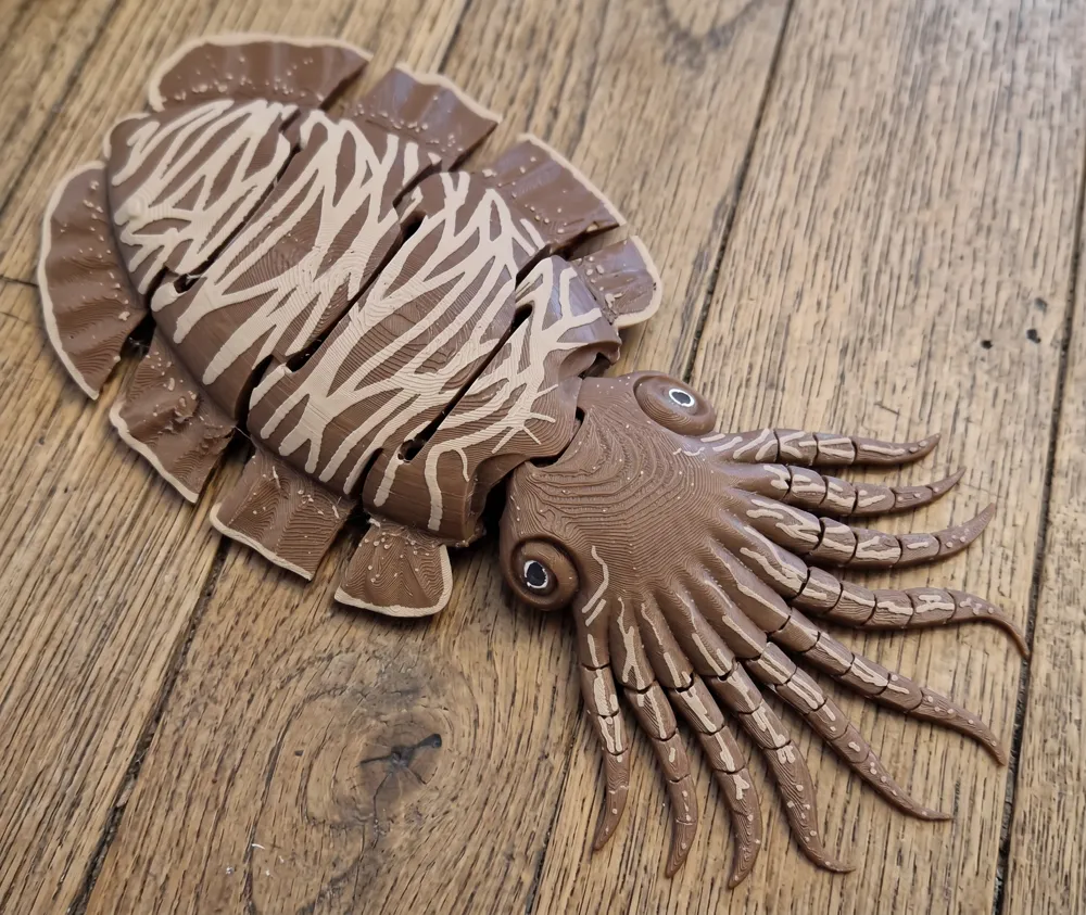 Sea Creature - Cuttlefish - Free 3D Print Model - MakerWorld
