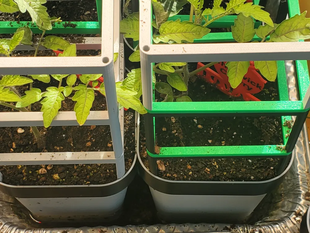 Tomato Plant Seedling Stackable Support Cage Remixed by SRM MakerWorld: Download Free 3D Models