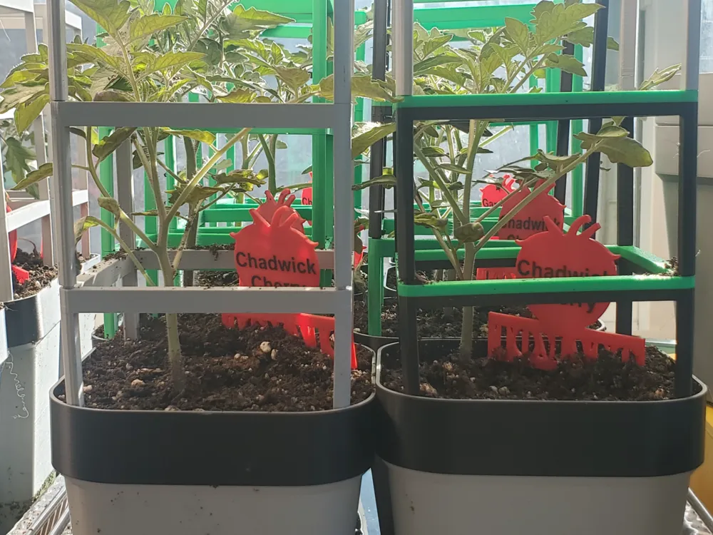 Tomato Plant Seedling Stackable Support Cage Remixed by SRM MakerWorld: Download Free 3D Models