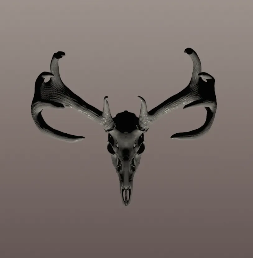 1914 Jordan Buck - Skull Mount - Free 3D Print Model - MakerWorld
