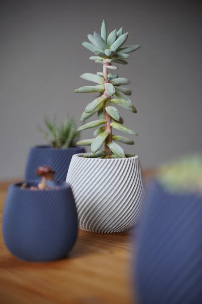 Modern spiral planter - Free 3D Print Model - MakerWorld