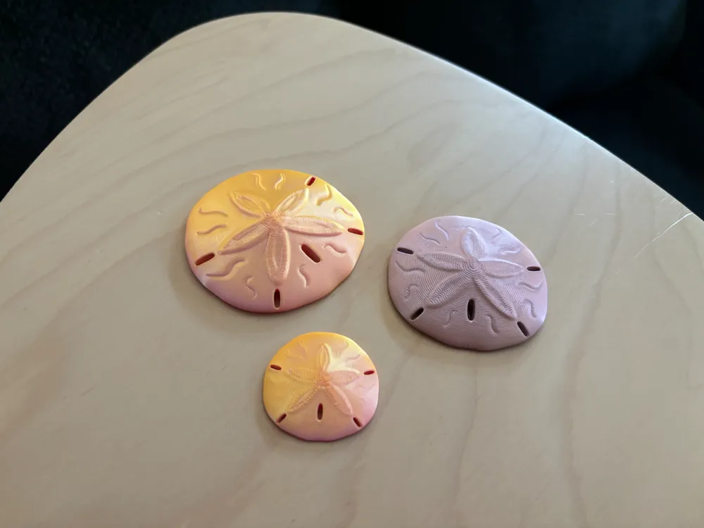 Sand Dollar - Free 3D Print Model - MakerWorld