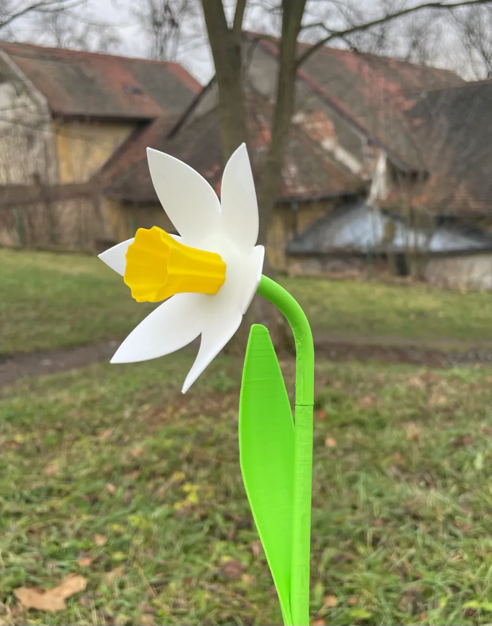 Bello narciso - Día Internacional de la Mujer por soukup273 - MakerWorld