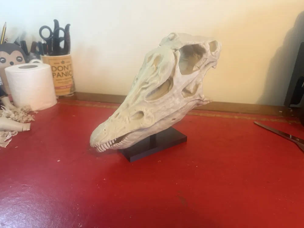 Dippy the Diplodocus Skull – Iconic Museum Fossil - Free 3D Print Model ...