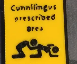 Cunnilingus prescribed area shield - Free 3D Print Model - MakerWorld