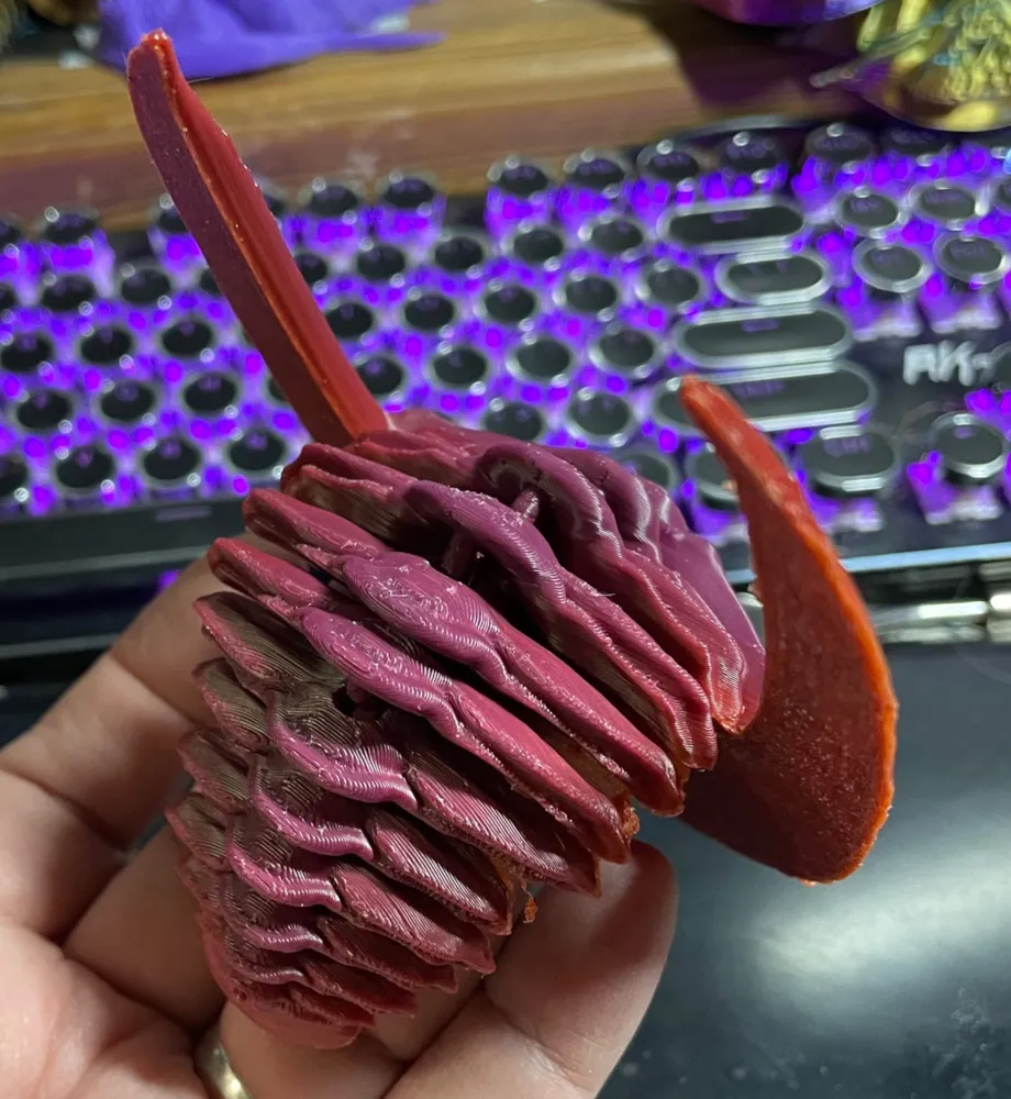 Harpedita sp. Trilobite, articulated by Auntie Fa - MakerWorld